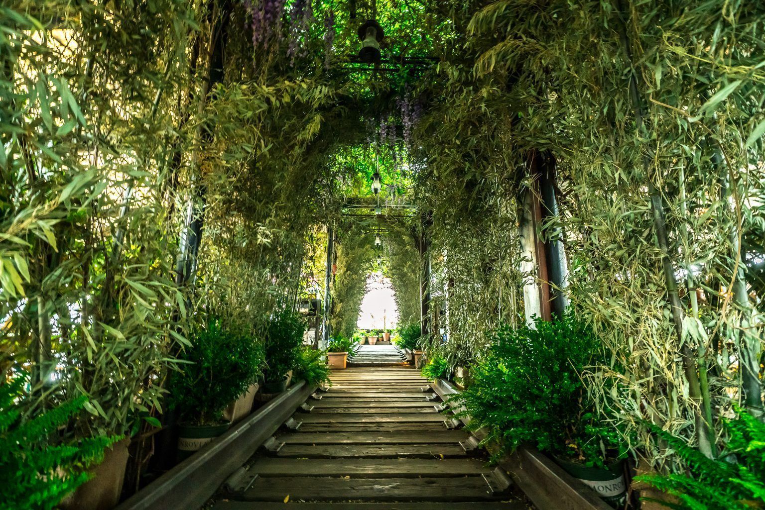 Gallow Green | Rooftop Bar & Restaurant | McKittrick Hotel